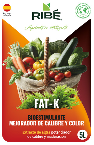 Productos RIBÉ – Ribé Perú