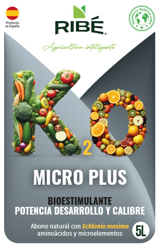 Micro Plus – Ribé Perú